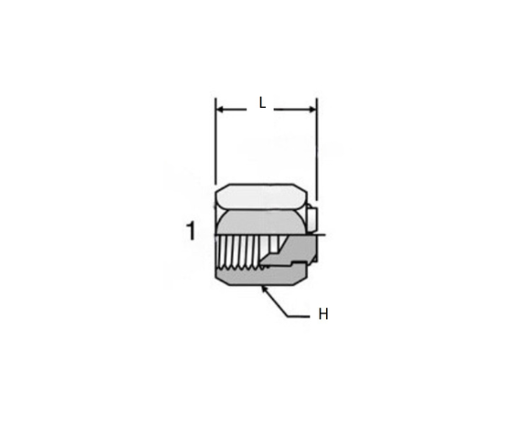 Tapon Hembra JIC 3/8″ : Hosemart Tapon Hembra JIC 3/8″ : Hosemart